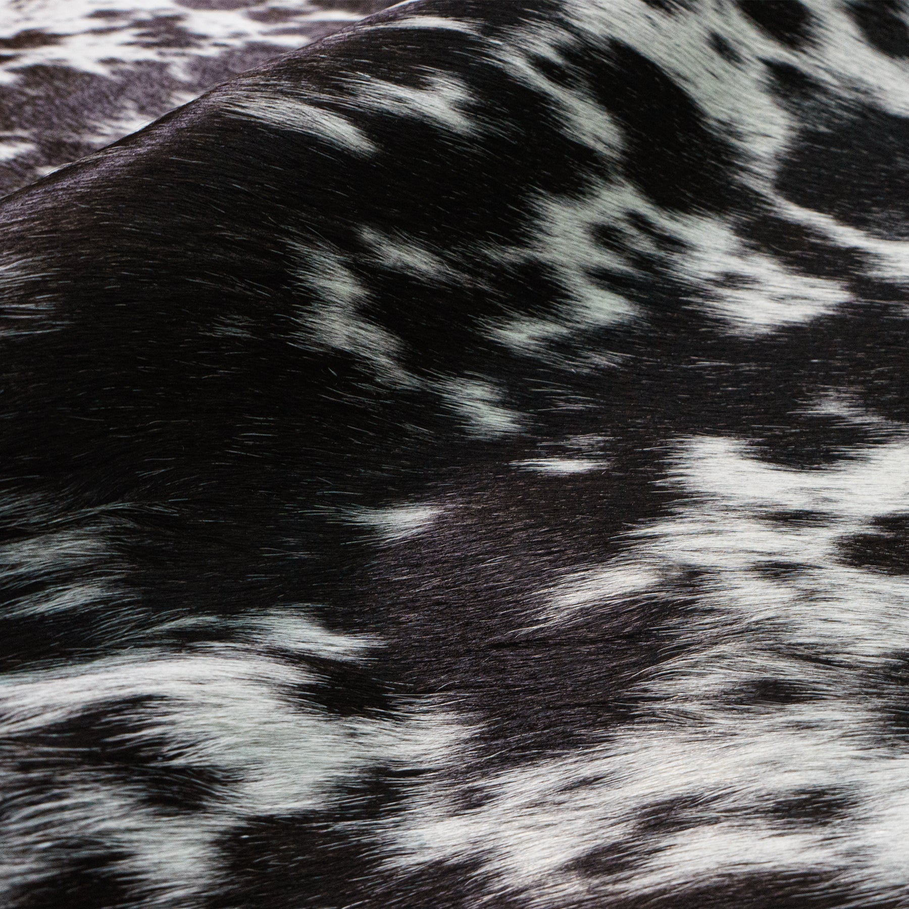 RODEO Exotic Cowhide Rugs - Rodeo Cowhide Rugs